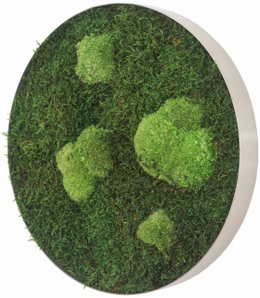 mos billeder til væg runde natur mosbilleder - Mos Billeder til Væg ...